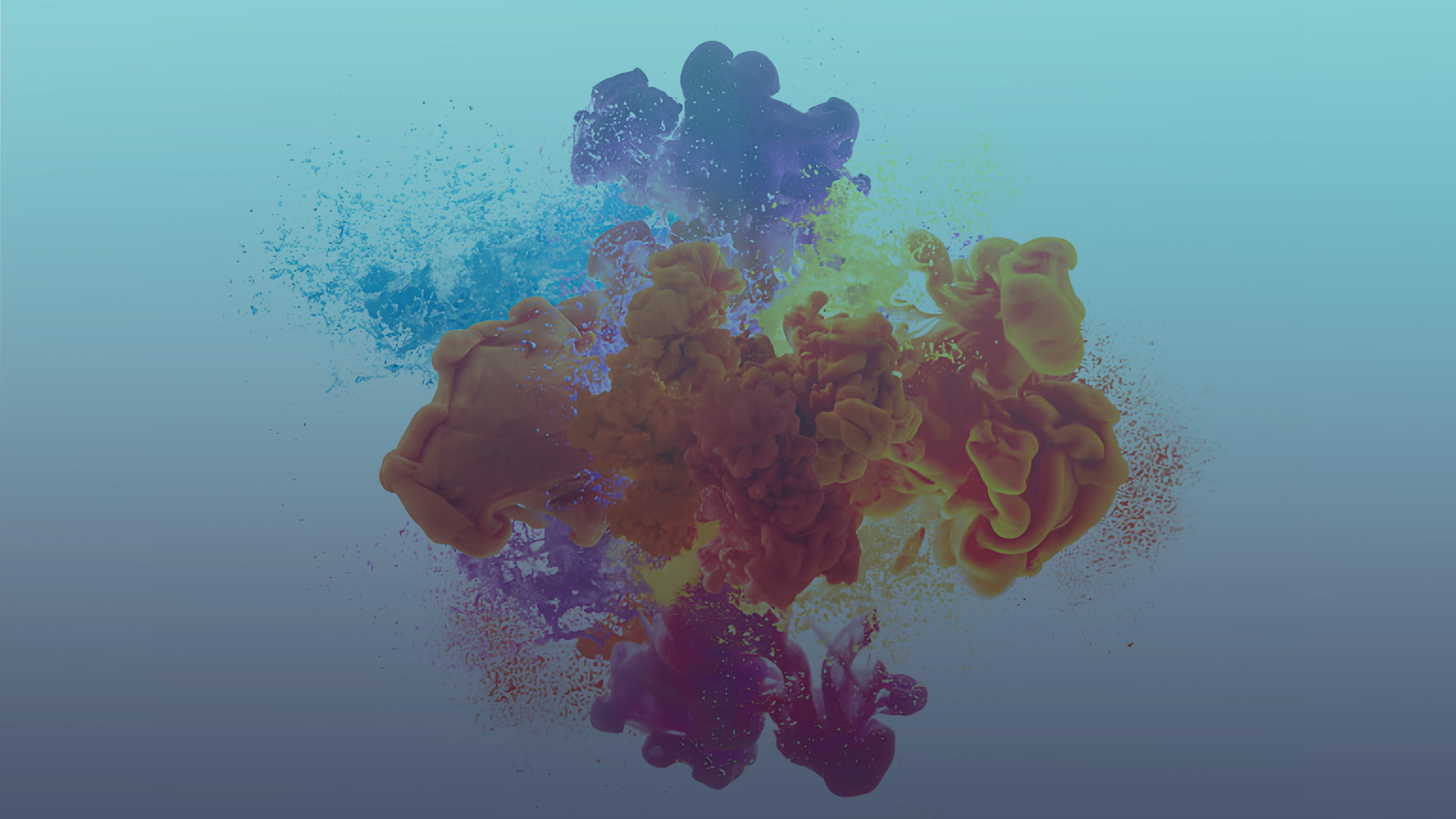 Accueil - MDOS Tunisie